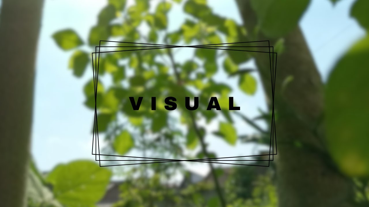 10 minutes of nature with no sound - (No Sound Just Visual) part 9 ...