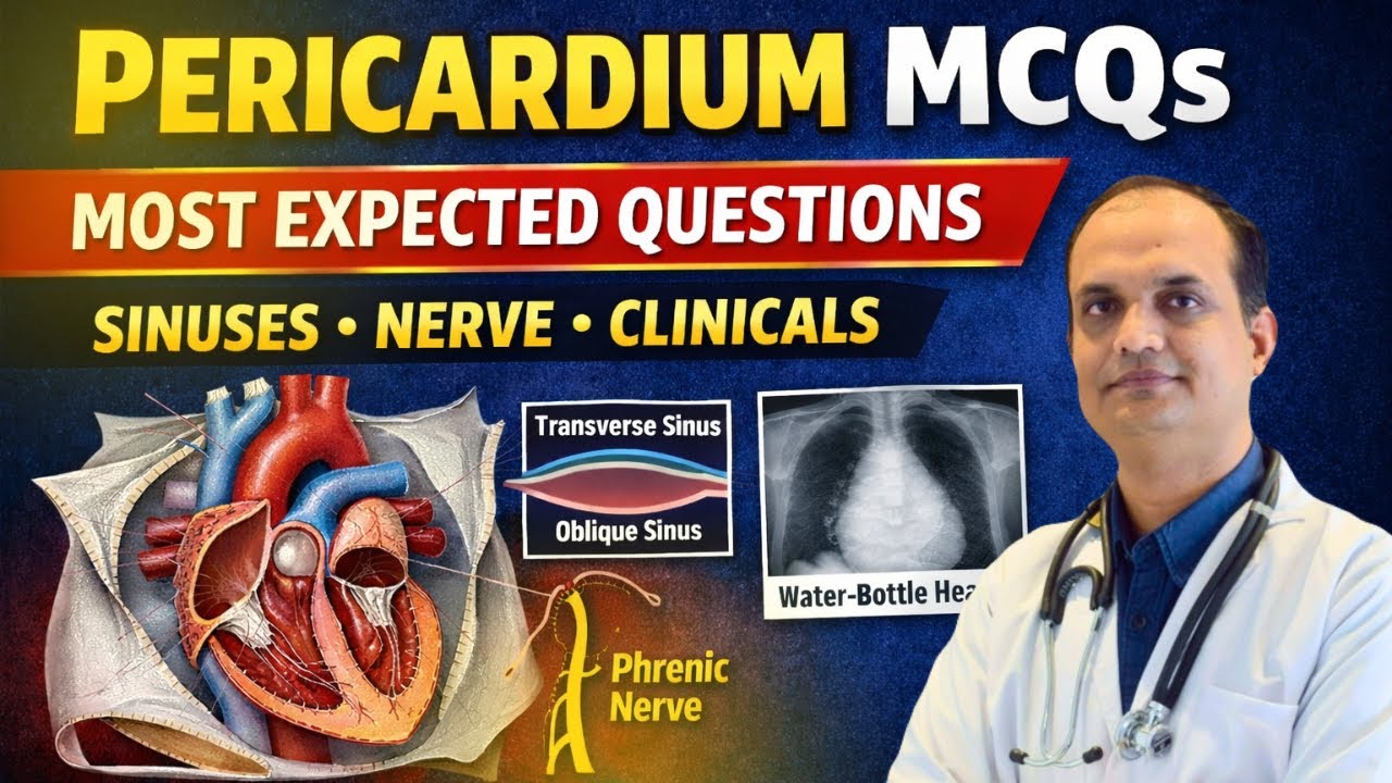 Pericardium MCQs Made Easy | Must-Know Questions High Yield for MBBS ...