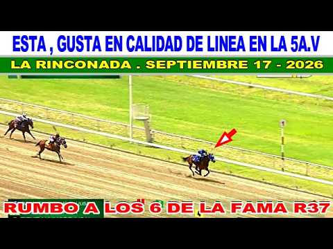 ESTA YEGUA, GUSTA EN CALIDAD DE LINEA, EN LA 5TA.VALIDA DE LA R37🟢INH LA RINCONADA, SEP.17-2026🍀