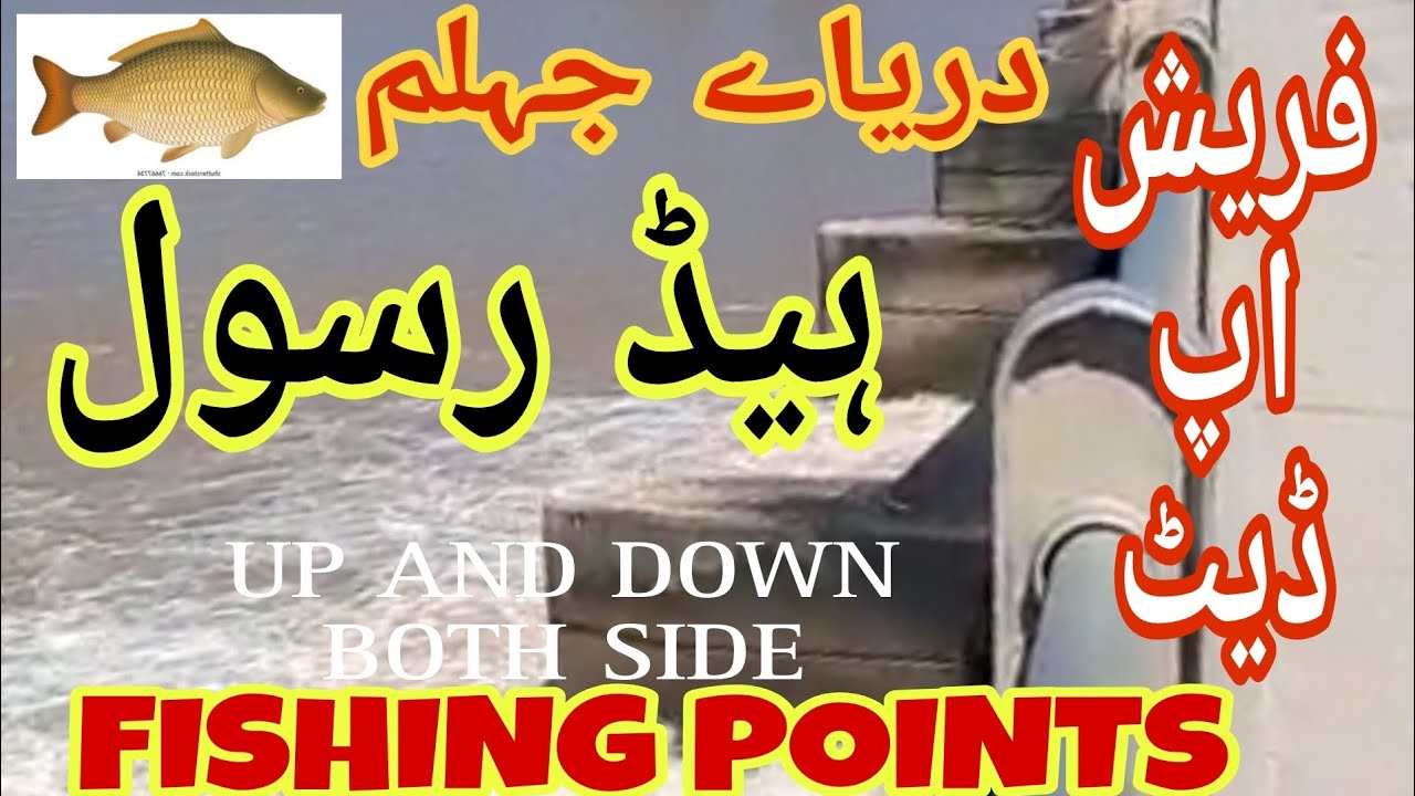 RIVER JHALUM HEAD RASOOL LATEST UPDATE UP AND DOWN BOTH SIDE FISHING ...