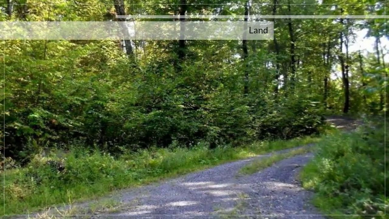 Elizabeth Hendler: 0 Tara North Lane Taghkanic NY 12521 - YouTube