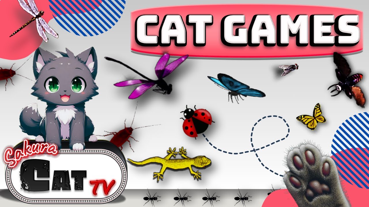 CAT Games | Bugs and Butterflies Compilation Ep 1🐞🦋🐝🐜 Videos For Cats ...