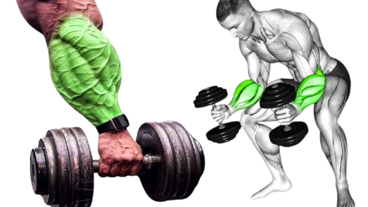 Forearms Workout for Strength and Size: Build Powerful Grip and ...