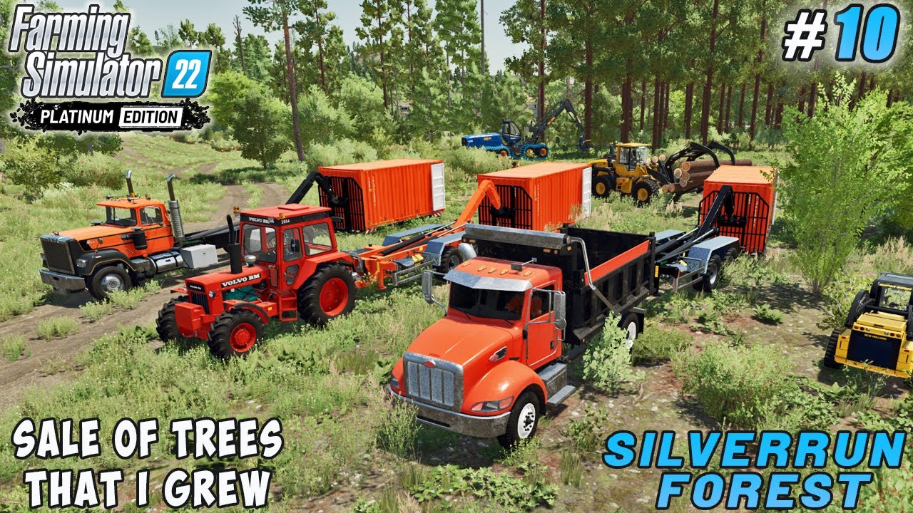 Selling the trees thet I grew, buying shipyard and sheep | Silverrun ...