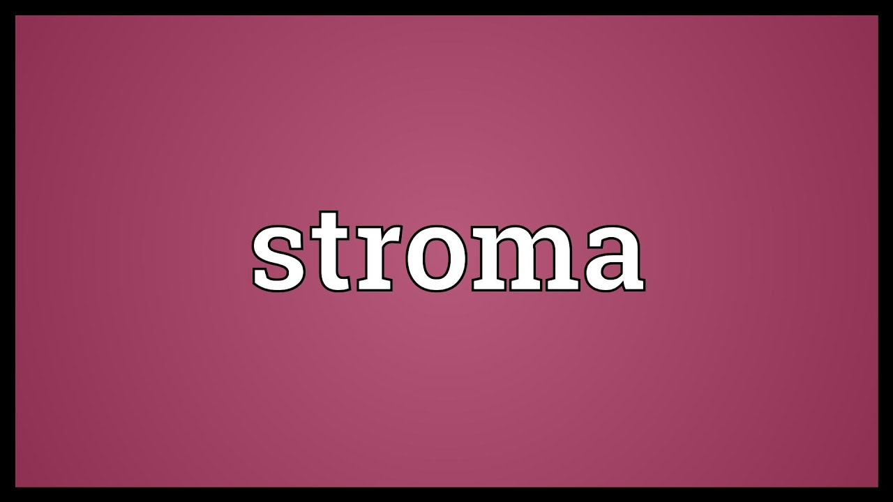 What Does Stroma Mean? - Food Stamps