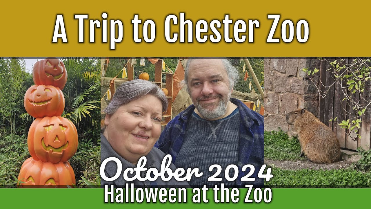 Halloween at Chester Zoo - October 2024 - YouTube