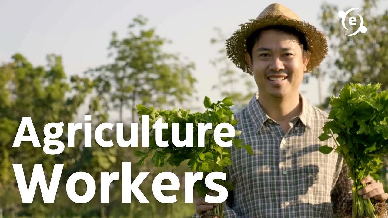 Hire Skilled Agricultural Workers from Asia - YouTube