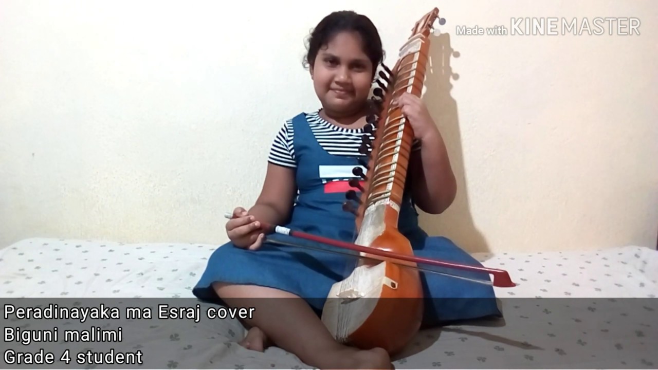 peradinayaka ma esraj cover - YouTube