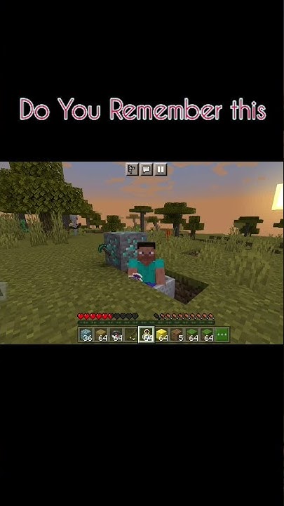Do_you_remember__%F0%9F%A5%BAMinecraft_%23shorts - YouTube