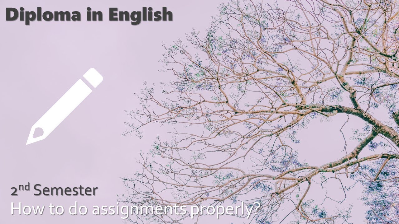 How to do assignments properly?|Part 02 - YouTube