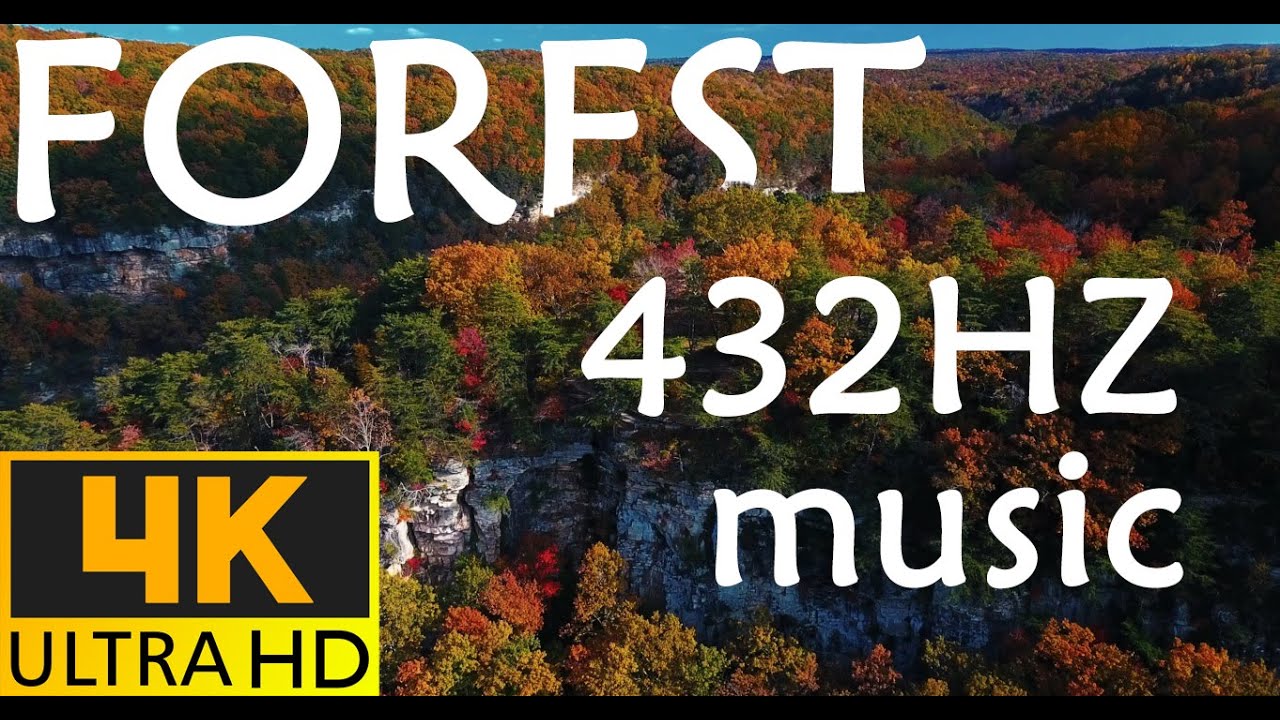 Forest (4k UHD) with 432Hz Music (And Wind Sound) For Study, Meditation ...