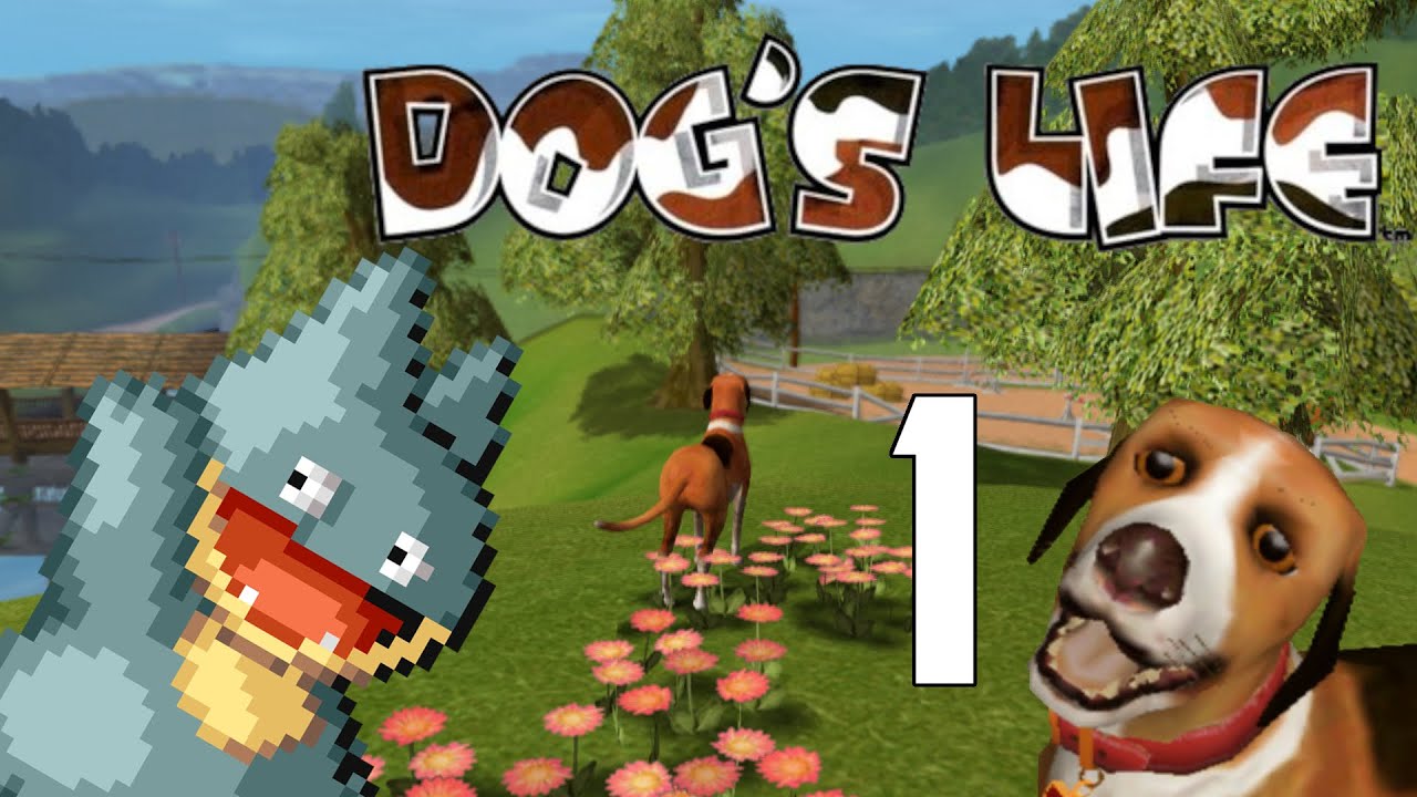 Who Let The Dogs Out | Dog's Life (PS2) | Casual Playthrough (Day 1 ...