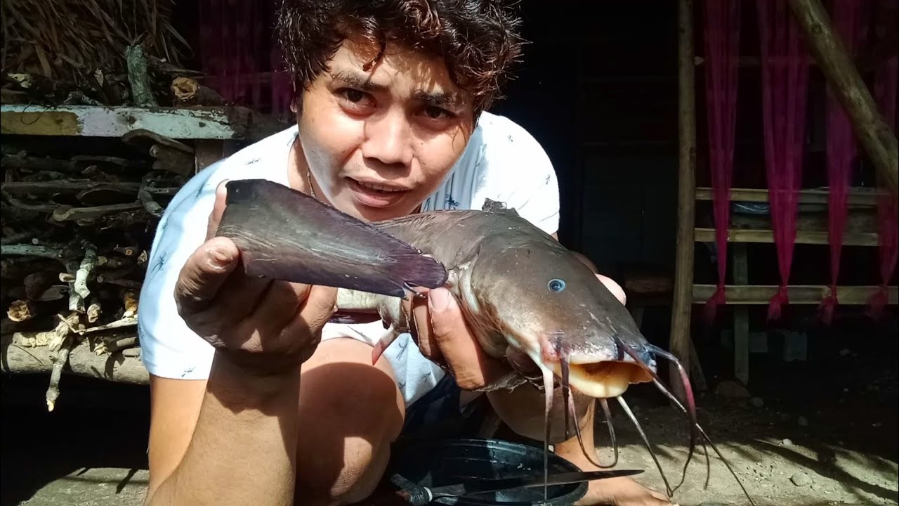 Ginataang Alimusan/Hitong dagat | casiguran sorsogon | buhay probinsya ...