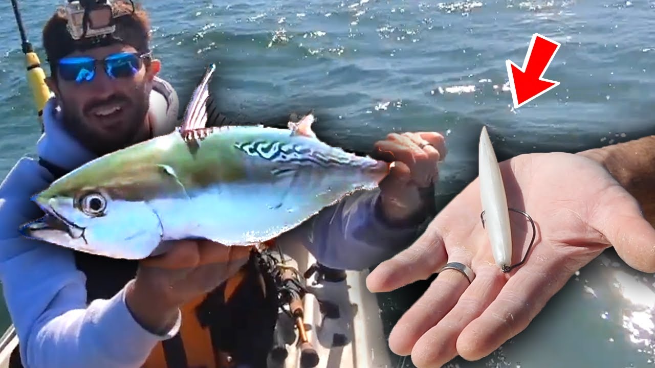How to Catch False Albacore in Cape Cod - YouTube