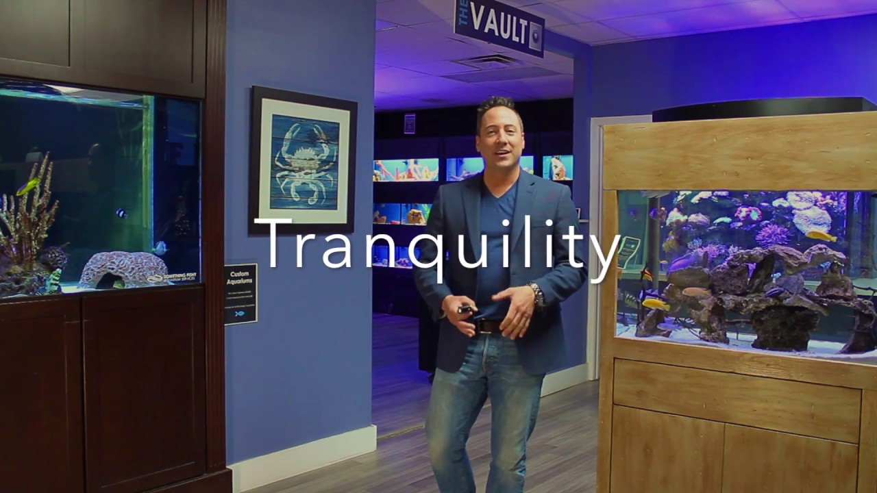 Fish Guy TV Showroom Offerings - YouTube