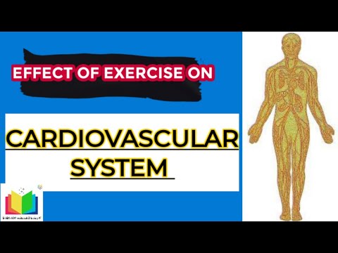 Effect Of Exercise on Cardiovascular System. - YouTube