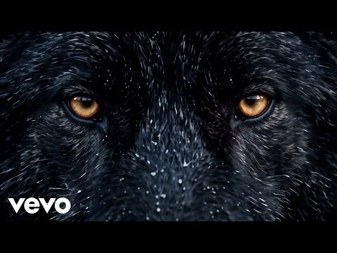 Jonas Lark - Shadow of the Frost (Official Music Video)