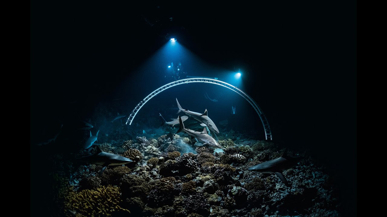 700 Sharks - Trailer - YouTube