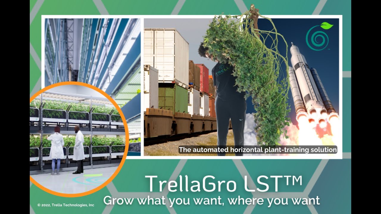 What's next at Trella? Become part of our mission to grow what you want ...
