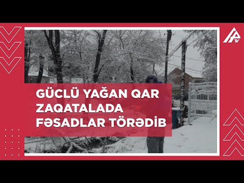 Qar yağdı, elektrik naqilləri qırıldı - ZAQATALADA BİR NEÇƏ KƏND İŞIQSIZ QALDI