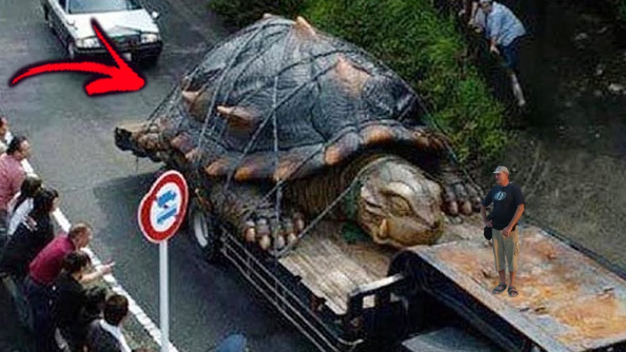 10 Biggest Unusual Creatures Ever Captured - YouTube