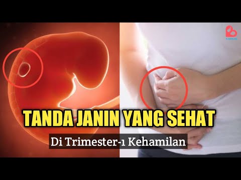 Tanda Janin Sehat di Trimester Pertama Kehamilan