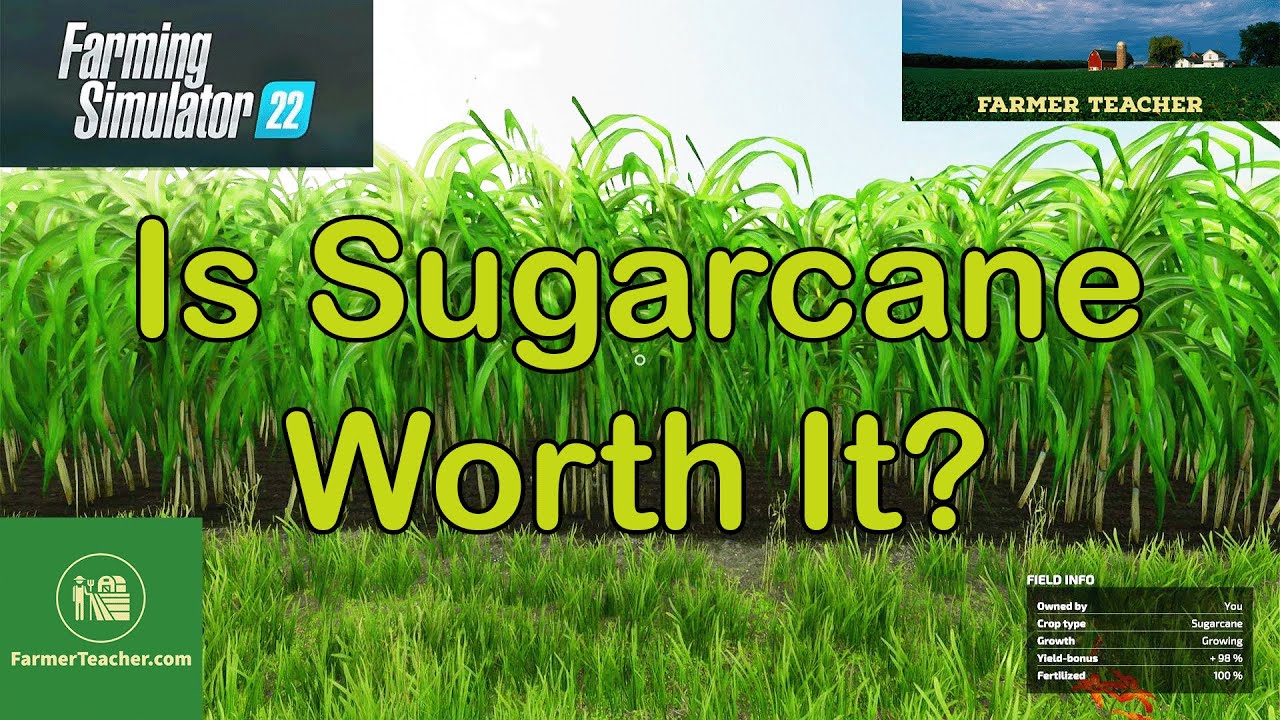 FS 22 Sugarcane, How Many Dollars on Farming Simulator 22? - YouTube