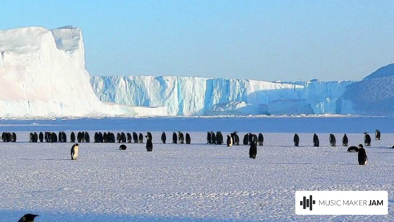 The prehistoric forests of Antarctica - YouTube