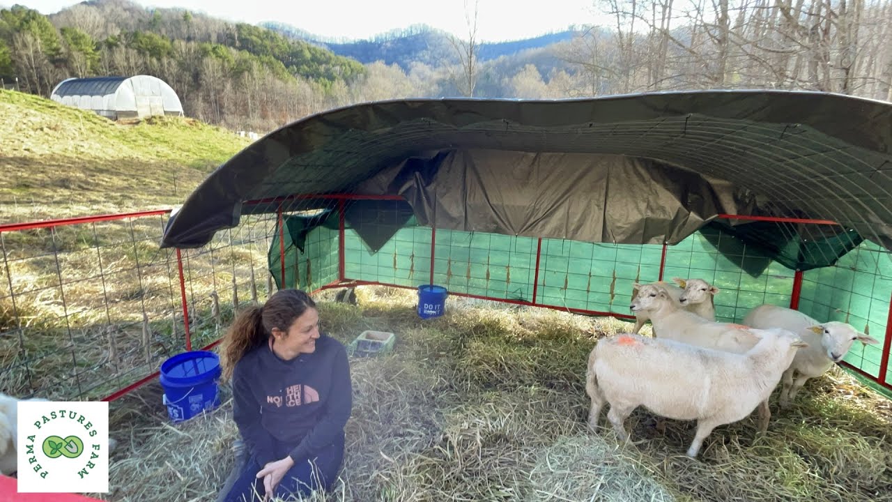 Better Genetics = Easier Farming - YouTube