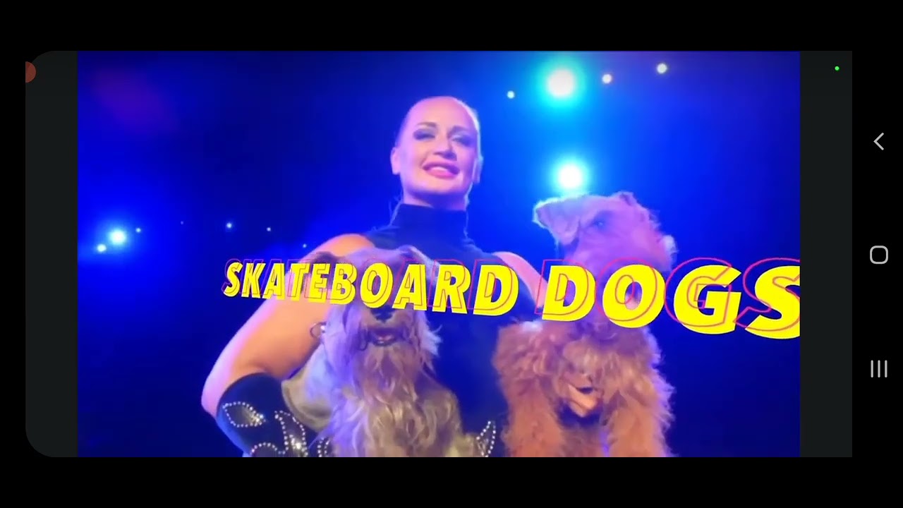 SUAREZ BROTHERS CIRCUS RETURNS - YouTube