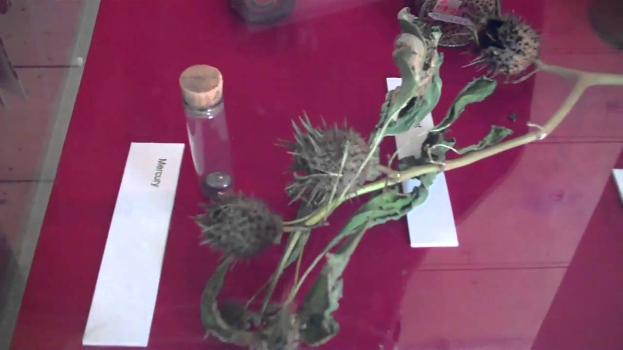 Kill or Cure - YouTube