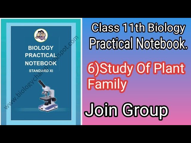 Family Biology