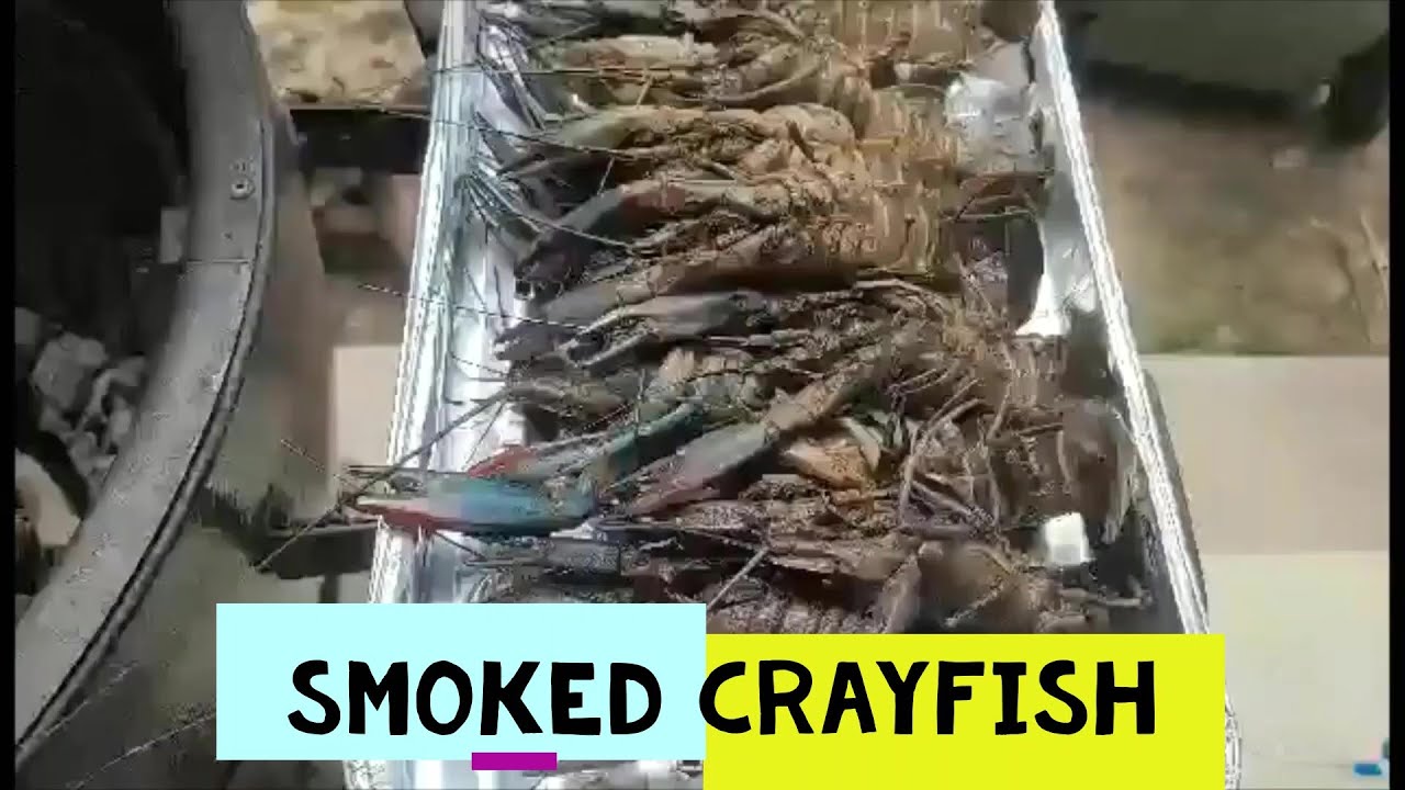 SEAFOOD BOIL COOKING AUSTRALIAN RED CLAW CRAYFISH LOBSTER COOKING BIG ...