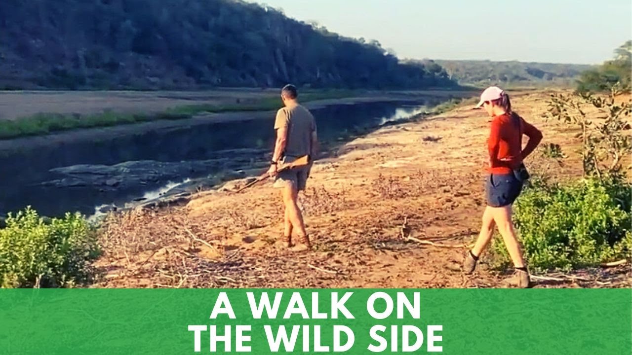 A Morning Bush Walk In Limpopo National Park - YouTube