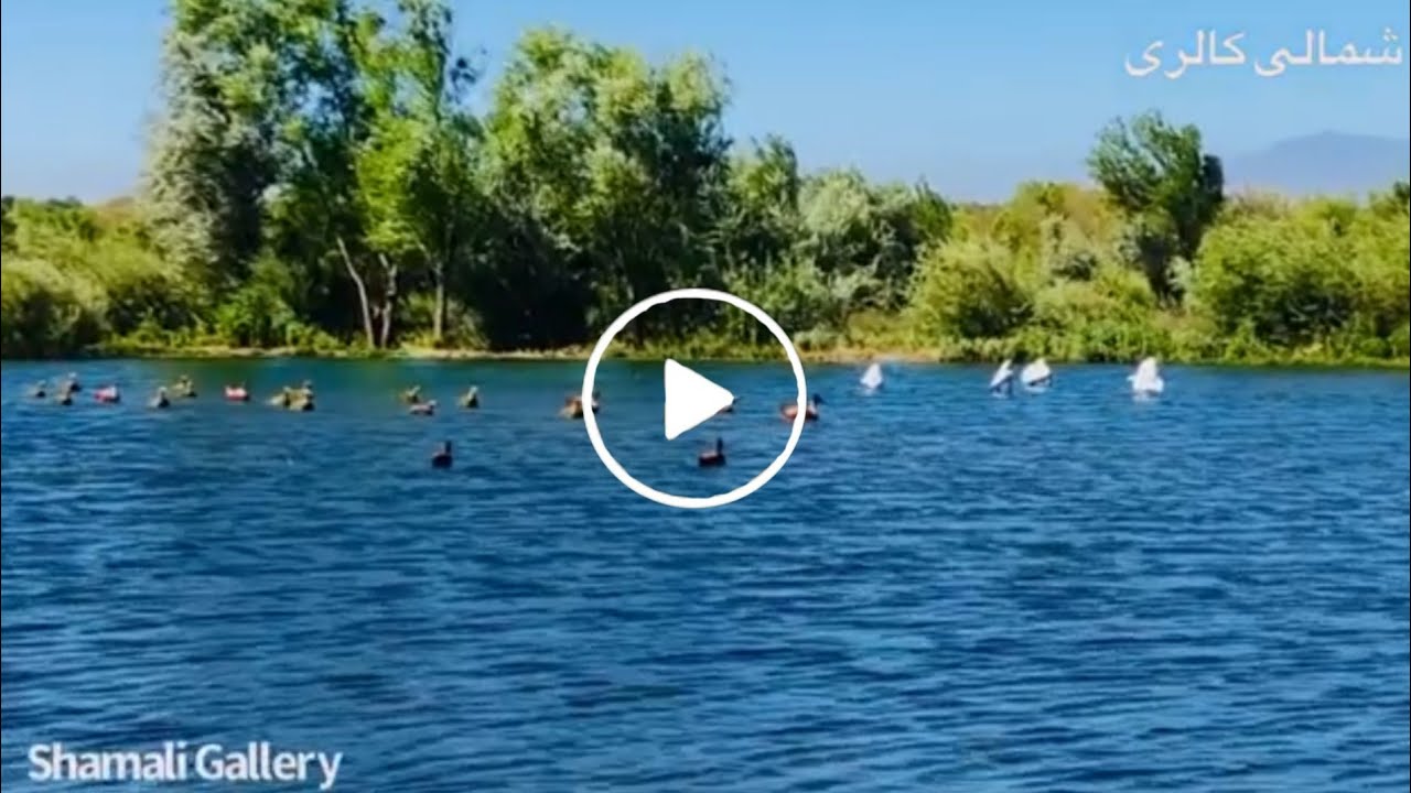 چند لحظه نمایی کوتاه زیبا از پروان مرکزی شمالی ,, afghan plus.,, گزارش مکمل در ویدیو! - YouTube