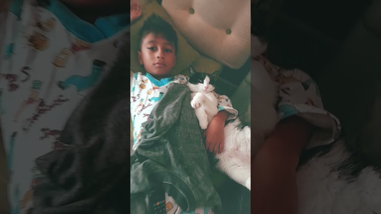 Durmiendo Con Mi 🐱 Youtube