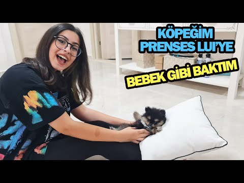 KÖPEĞİM PRENSES LUI'YE 1 GÜNLÜĞÜNE BEBEK GİBİ BAKTIM EYLÜL LAL