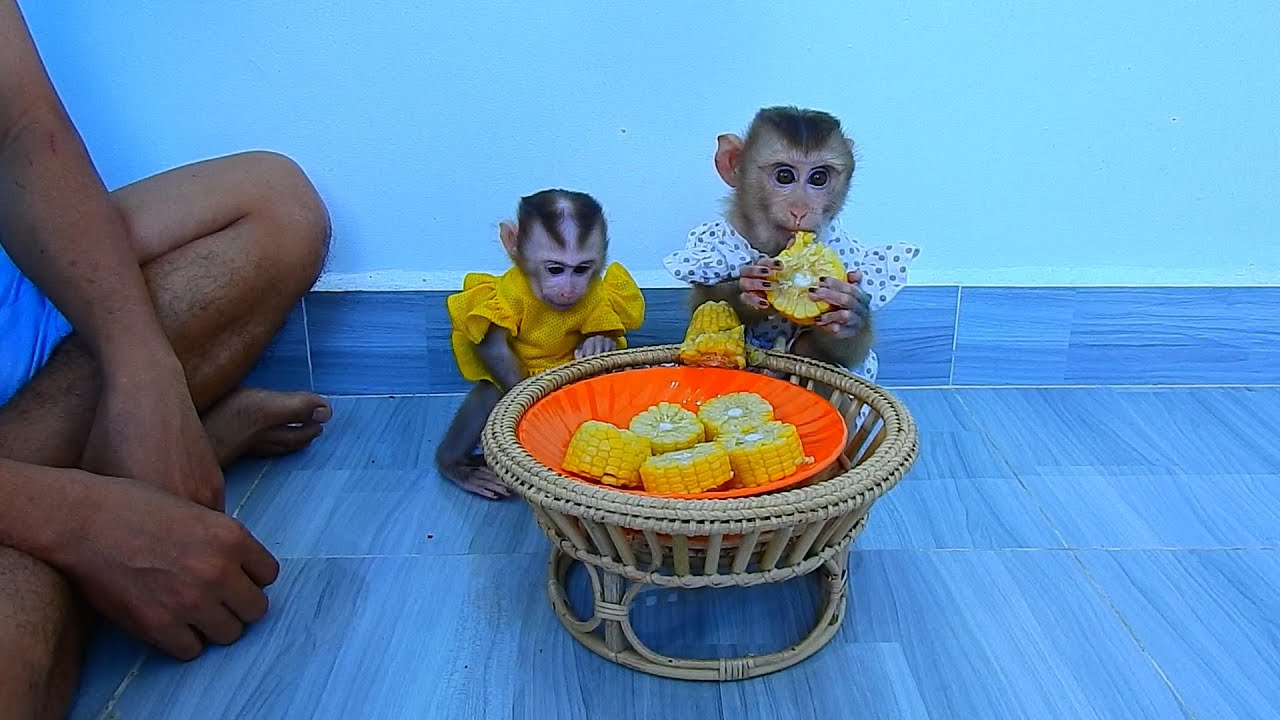 Julie & Bunny so delighted Dad gave her the favorite Food Sweet boiled ...