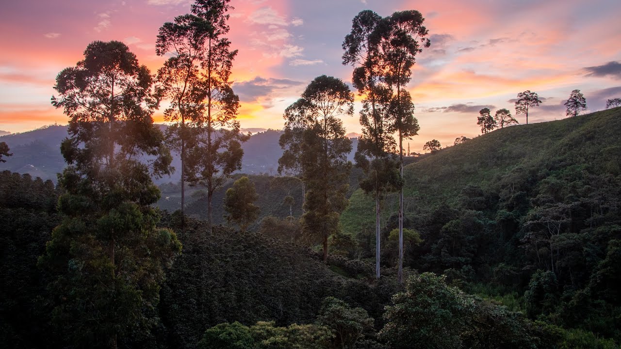 Santa Rosa de Cabal, Colombia - YouTube