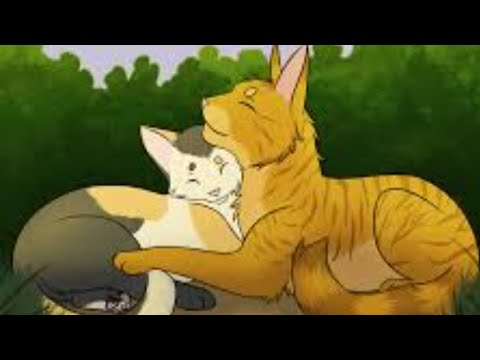 Top 15 des couples LGDC que je préfère. - YouTube