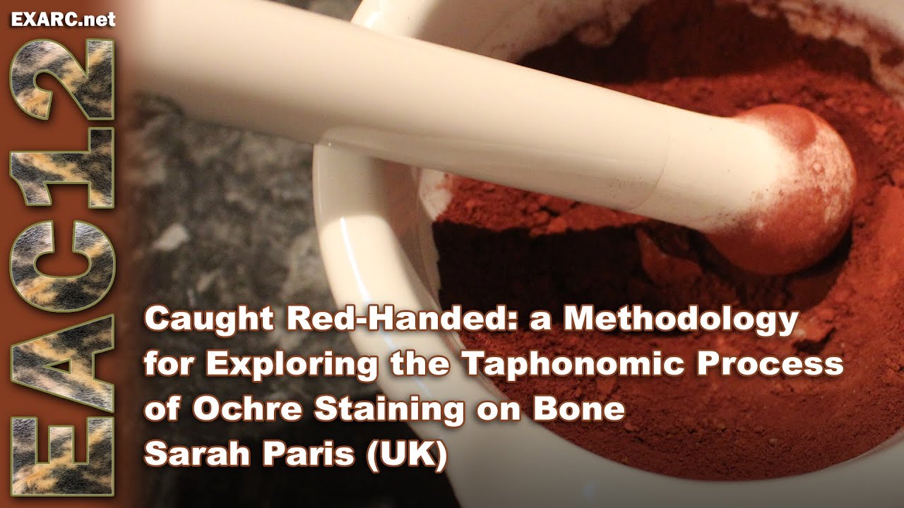 Caught Red-Handed: a Methodology for Exploring the Taphonomic Process ...