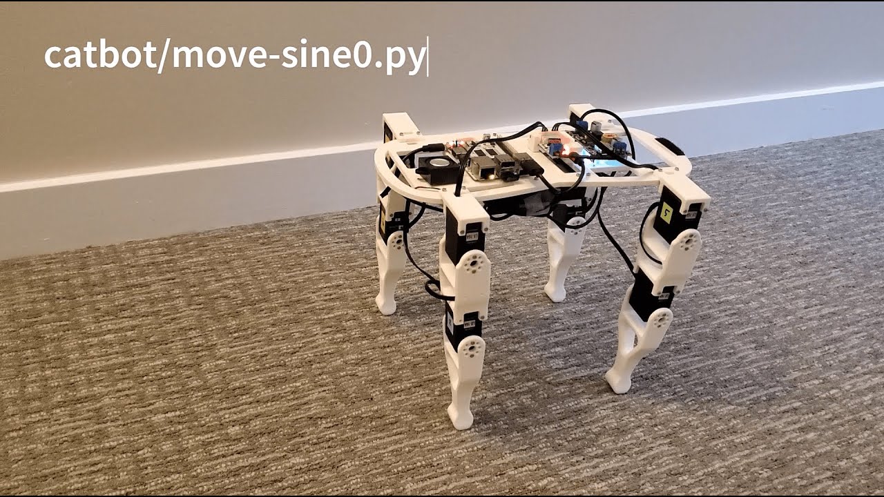 Catbot's First Movements - YouTube