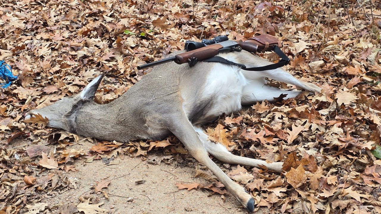Wisconsin gun deer 11,23,2025 - YouTube