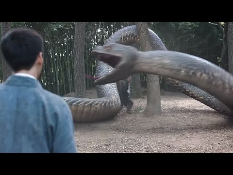 捉蛇大师吹笛子引出巨蛇，把它卷成了大麻花！ 【变异巨蟒 Mutant Python】 | 惊悚/剧情 | 经典大本营 - YouTube