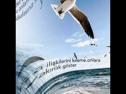 Lokman Hekim'in en güzel sözleri