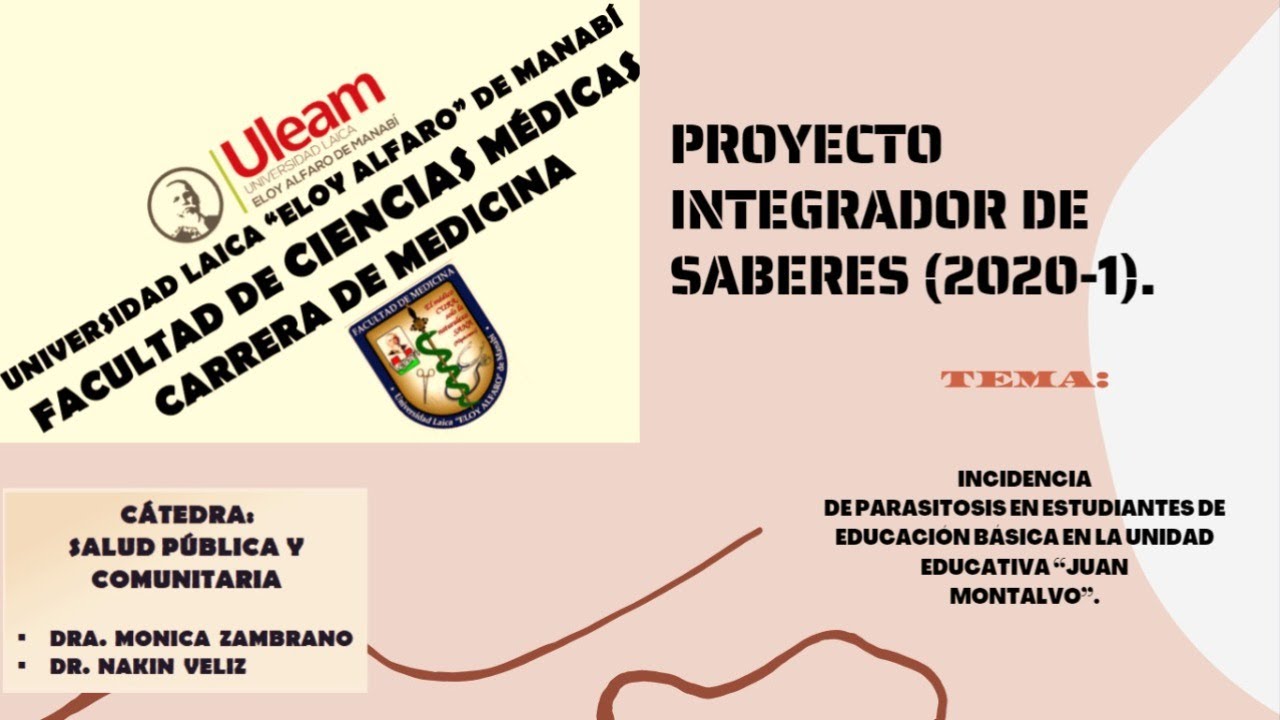 Proyecto Integrador De Saberes 2020 1 Youtube