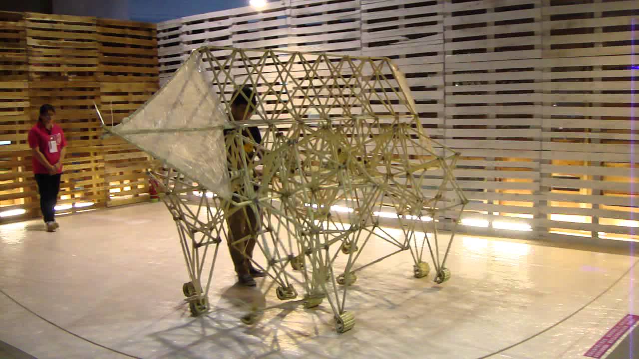 The walk of Animaris Ordis - YouTube