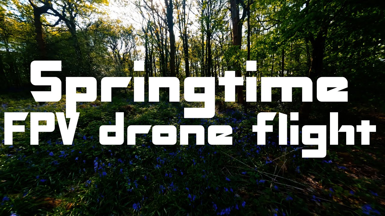 Unforgettable FPV drone flight in Sheffield woods - YouTube
