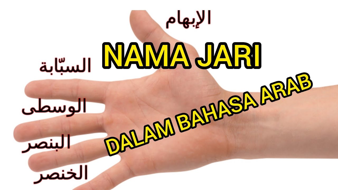 NAMA JARI DALAM BAHASA ARAB - YouTube
