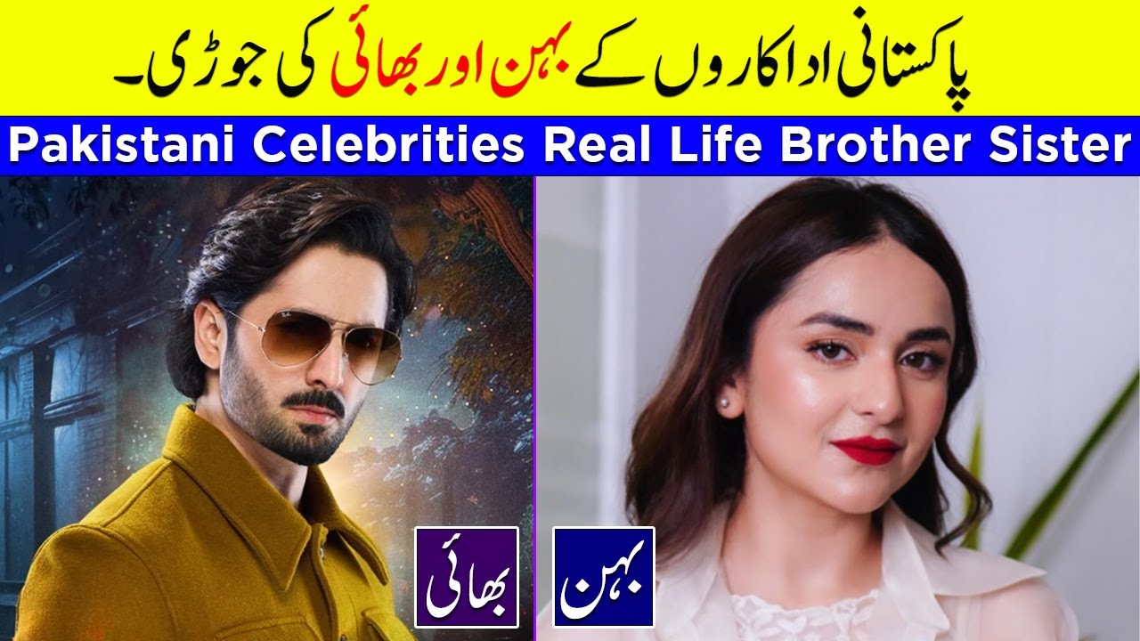 10 Pakistani Celebrities Real Life Brother Sister | Pakistani Actors ...
